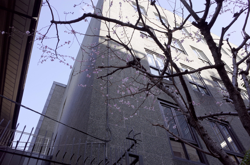 社員奮闘記 | リコー公式ブログ GR BLOG | リコー